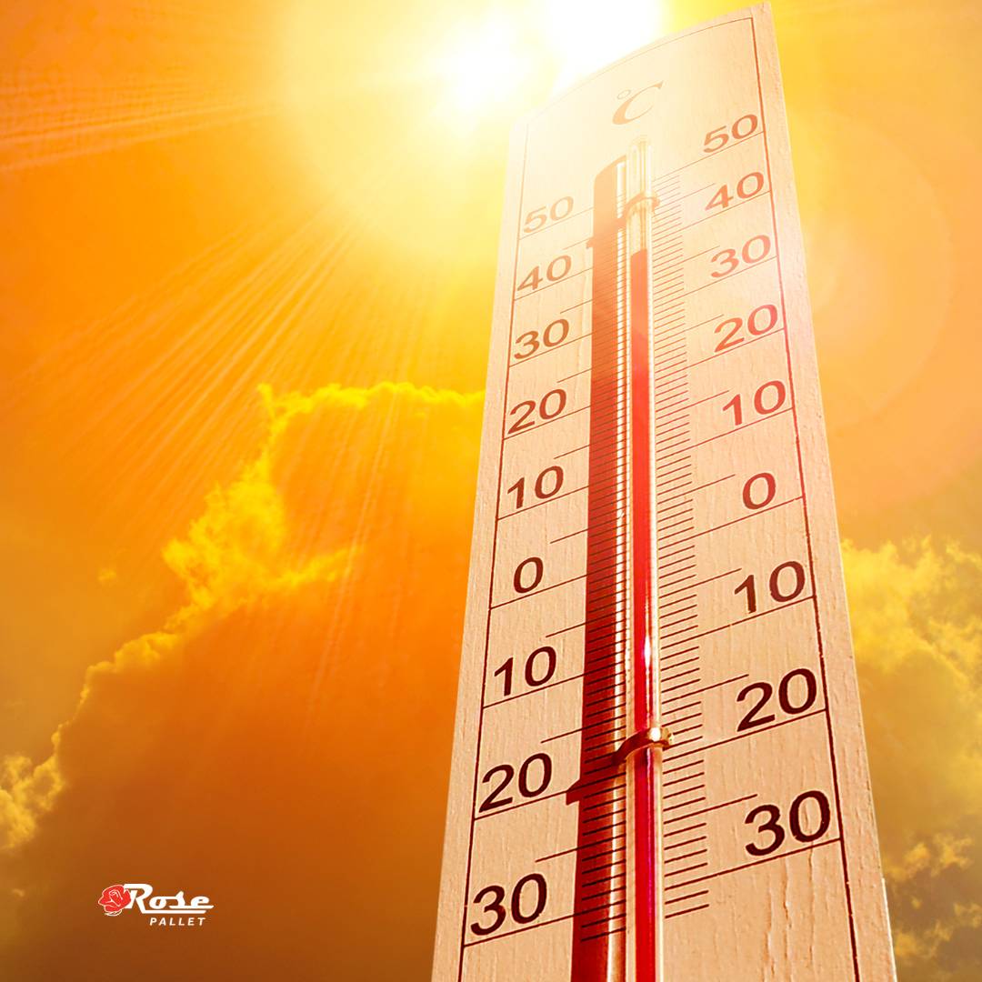 Warehouse Safety in Extreme Temperatures - Rose Pallet