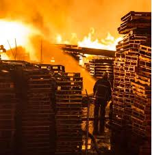 Fire Prevention Month - Rose Pallet